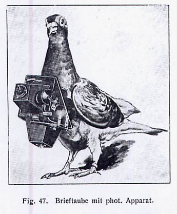1911 – Die Brieftaube als Spion | Medien als Werkzeuge der Weltaneignung